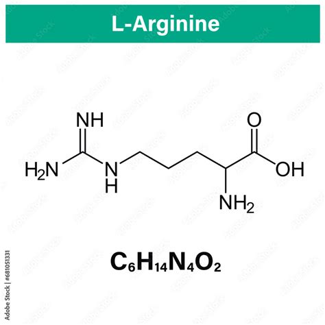 Grafika Wektorowa Stock L Arginine Molecule Amino Acid Chemical Skeletal Structural Formula