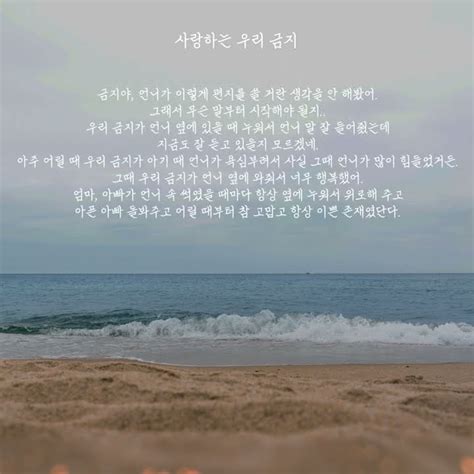 금지에게 보내는 이별편지 강아지장례식 펫로스케어 Youtube