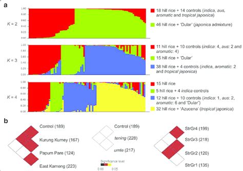 A Model Based Population Structure Of 79 Rice Accessions At K 2 To 4