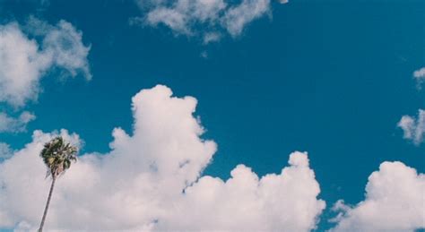 The Art Of Movie Stills — Somewhere Sofia Coppola 2010