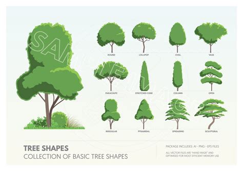 Tree Png Tree Clipart Collection Basic Tree Shapes 12 Simple Tree Drawings Instant