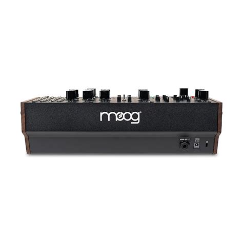 Moog Labyrinth Parallel Generative Synthesizer Reverb