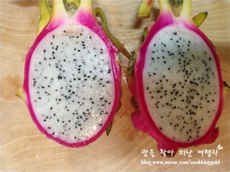 선인장열매 용과 손질하기