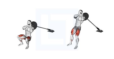 Hack Squat Anatomy Pendulum Squat Vs Hack Squat Community Strength