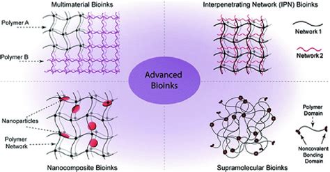 6 Hybrid Hydrogel Network Systems [95] Multi Material Bioink Networks Download Scientific