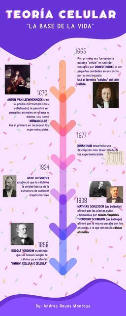 Teoría Celular Andrea Reyes Udocz