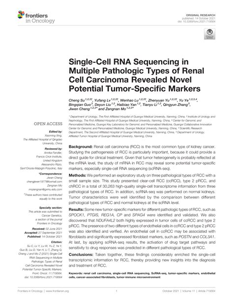 Pdf Single Cell Rna Sequencing In Multiple Pathologic Types Of Renal Cell Carcinoma Revealed