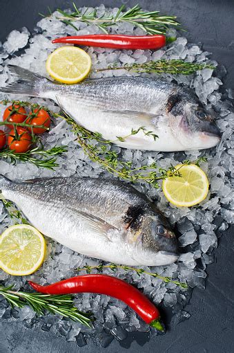 도 라도 얼음 성분 로즈마리 레몬 토마토 칠리에 원시 물고기 어두운 배경 낚시에 대한 스톡 사진 및 기타 이미지 낚시 냉동된 러시아 Istock