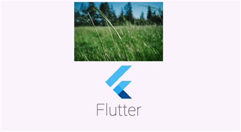 Flutter Shader Gitbook