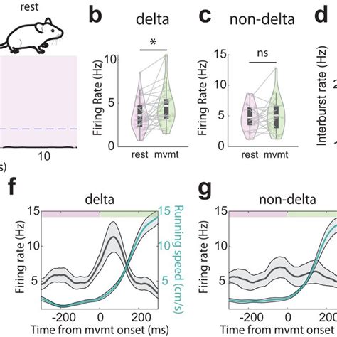 Delta Rhythmic Neurons But Not Non Delta Neurons Exhibit