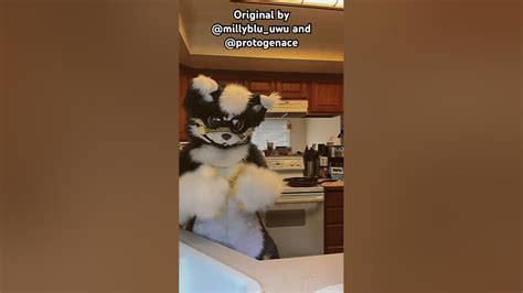 By Millybluuwu Protogen Has A Pan Furry Furries Fursuit Viral