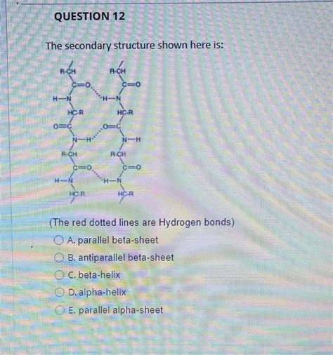 Solved The Two Types Of Beta Sheets Are A Left Handed Beta