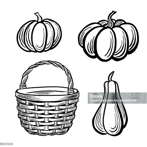 호박과 고리 버들 세공 바구니 가을 스케치를 설정합니다 벡터 라인 일러스트 손으로 그린 절연 추수 감사절과 수확 야채의 흑백 낙서 카드 스티커 포장을 위한 클립아트 0명에
