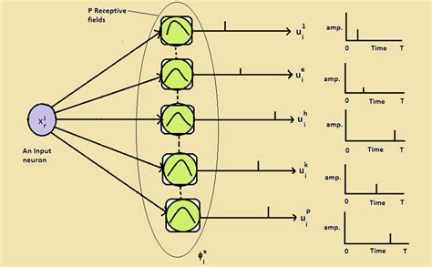 an input neuron model download scientific diagram
