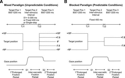 Spatial And Temporal Outline Of Conditions A Mixed Paradigm The