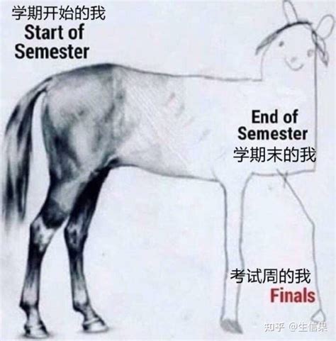 桑基图（sankey Diagram） 知乎