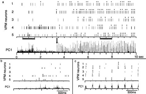 Neural Activity In Vpm During Quiet Immobility And Whisker Twitching