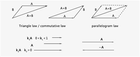 What Is The Difference Between Scalar And Vector ANEC