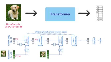 Perceiver Io A General Architecture For Structured Inputs And Outputs By Deepmind Explained
