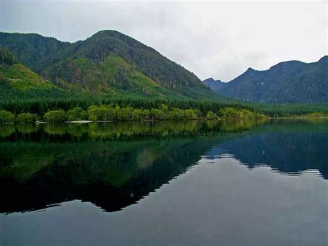 The Tranquility Of Vernon Lake Recreation Campgrounds Vancouver Island Camping