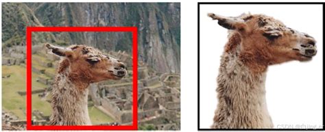 深度学习 图像分割 Csdn博客