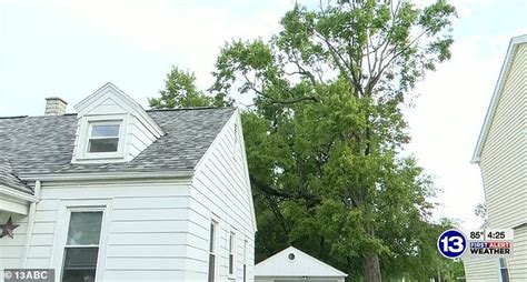 My Nightmare Neighbour Won T Chop Down His Tree He Won T Speak To Me And I Can T Afford To