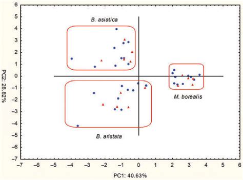 Validated Pca Plot To Identify Discrimination Between B Aristata B Download Scientific