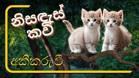 වැඩිහිටියන් කියනා දේ අසන් නැත්නම් ඉන්න වෙන්නේ බයෙන් නිසඳැස් කවි Sinhala Nisadas Youtube
