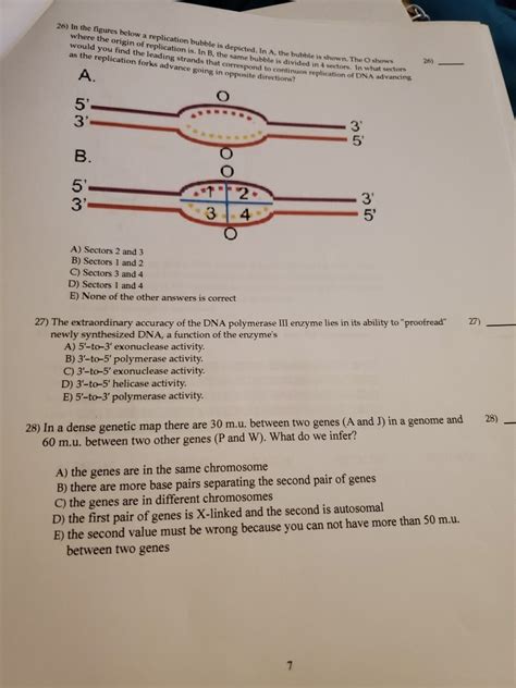 Solved 26 In The Figures Below A Replication Bubble Is Chegg Com