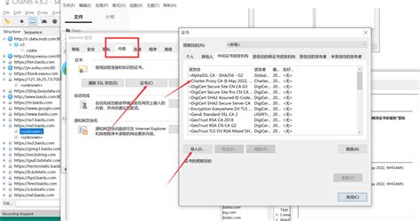 原创利用骚姿势绕过代理屏蔽和单向验证的方法汇总 自留地 博客园