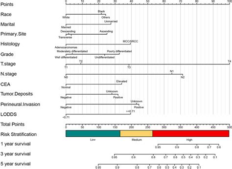 Nomogram For Predicting And Year CSS In Patients With Download Scientific Diagram