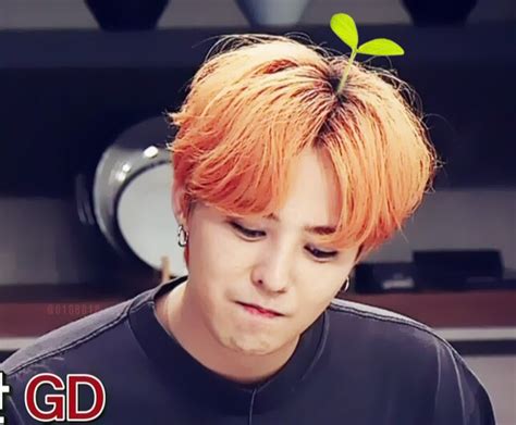 权志龙权志龙 bigbang G Dragon 堆糖美图壁纸兴趣社区