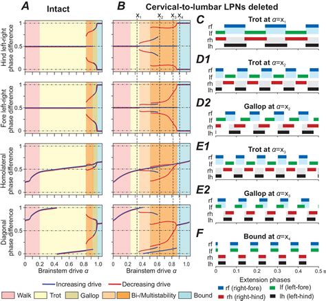 Figures And Data In Computational Modeling Of Spinal Circuits Controlling Limb Coordination And