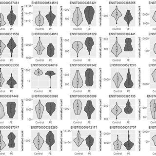 Schematic Diagram Of The Workflow For PE Control Samples Download