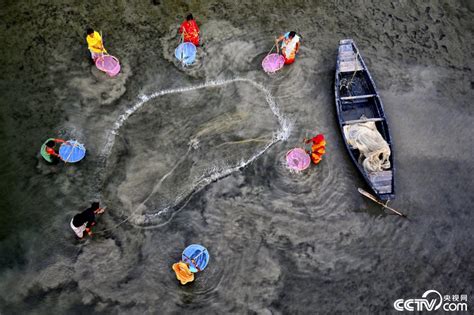 အိႏၵိယအမ်ိဳးသမီးမ်ား ျမစ္ထဲတြင္ ငါးဖမ္း