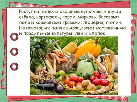 Природное сообщество искусственное и естественное презентация онлайн