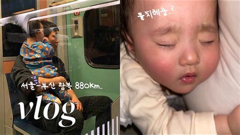 일상 브이로그｜육아를 곁들인👶🏻 자기주도이유식 준비 살림템 추천 베이비브레짜로 이유식 만들기 필라테스 끊기 더글로리 시즌