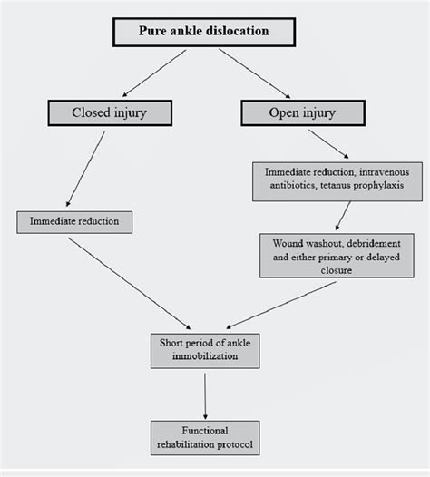 Recommendations For Management Of Pure Ankle Dislocation Closed And Download Scientific