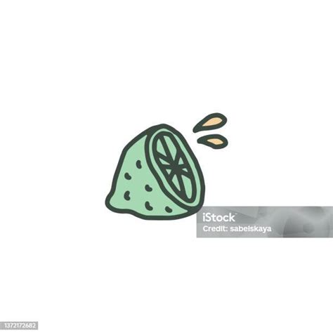 라임 열대 과일 손 그린 낙서 벡터 일러스트레이션의 절반은 고립 감귤류 과일에 대한 스톡 벡터 아트 및 기타 이미지 감귤류 과일 검은색 과일 Istock