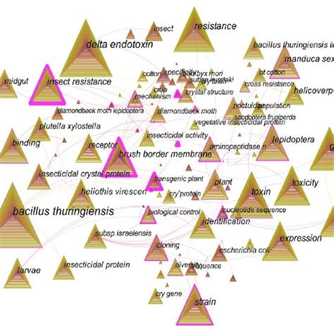 Keyword Co Occurrence Map Download Scientific Diagram