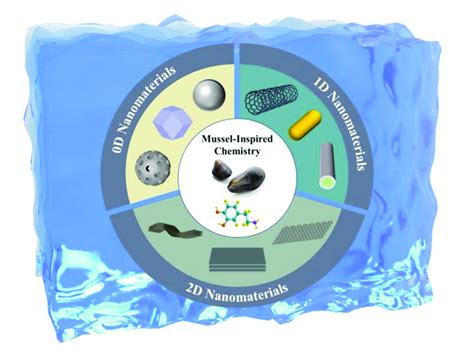 Scheme 1 Overview Of The Mussel Inspired Nanocomposite Hydrogels Download Scientific Diagram