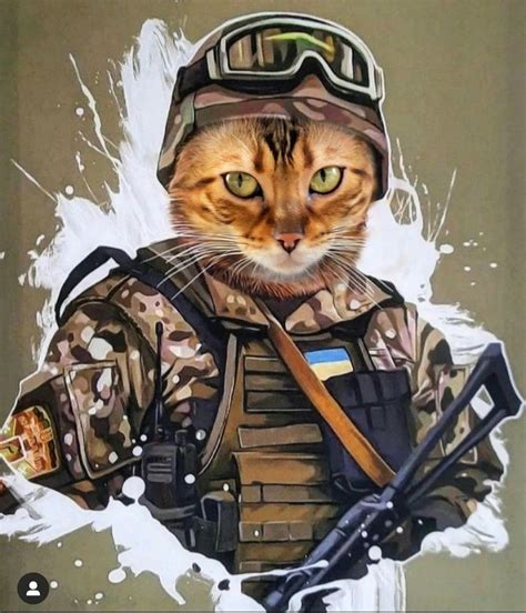 ЗСУ котик | Cartoon profile pics, Cat art, Ukrainian art