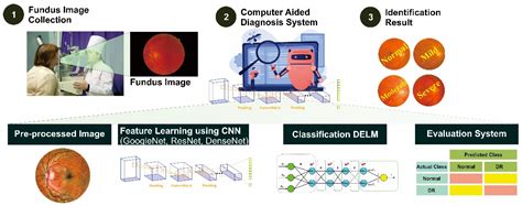 Bdcc Free Full Text Image Fundus Classification System For Diabetic