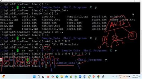 How To Start Learning Shell Scripting From Scratch Genspark