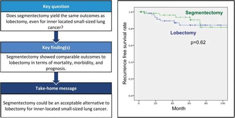 Segmentectomy Versus Lobectomy For Inner Located Small Sized Early Non Small Cell Lung Cancer Pmc