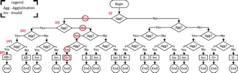 Flowchart Of The Classification Algorithm Developed Download Scientific Diagram