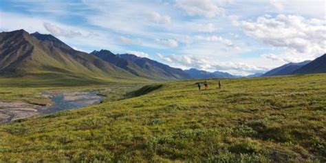 The Hidden Beauty Of The Gates Of The Arctic National Park That Few