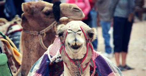 The Pros And Cons Of Living In The Gcc States Finglobal