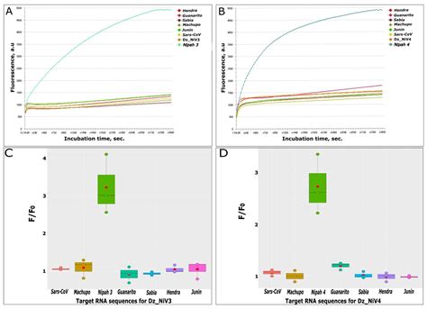 A Novel Dnazyme Based Fluorescent Biosensor For Detection Of Rna Containing Nipah Henipavirus