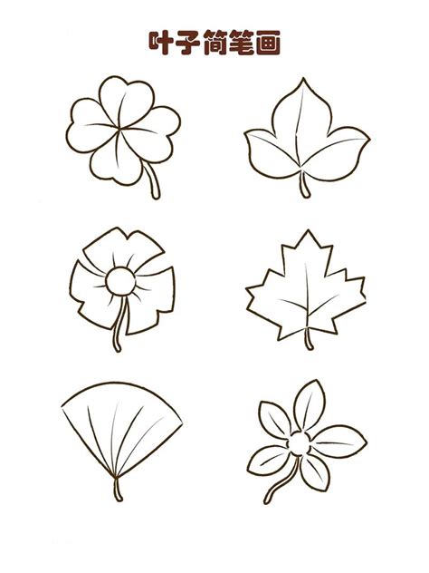 叶子简笔画图片 叶子简笔画图片大全 20张 几塔之家